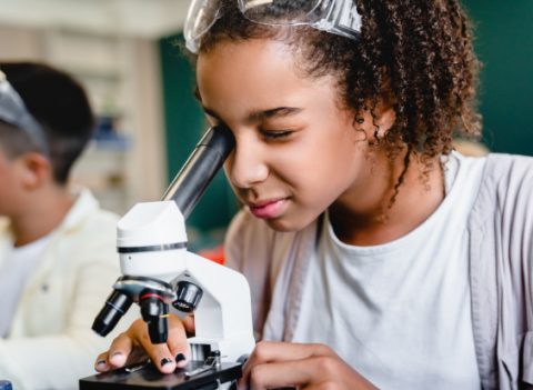 Science Fair | Acellus Academy