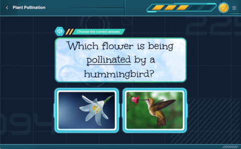 Student Experience | Acellus Academy