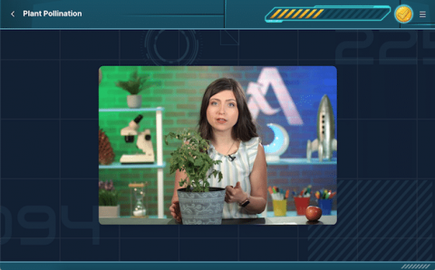 Student Experience | Acellus Academy