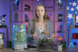 New Course: Kindergarten Science | Acellus Academy